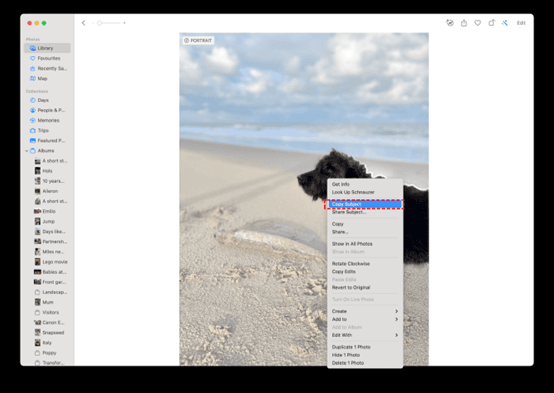 How to Easily Remove Backgrounds from Images on Mac